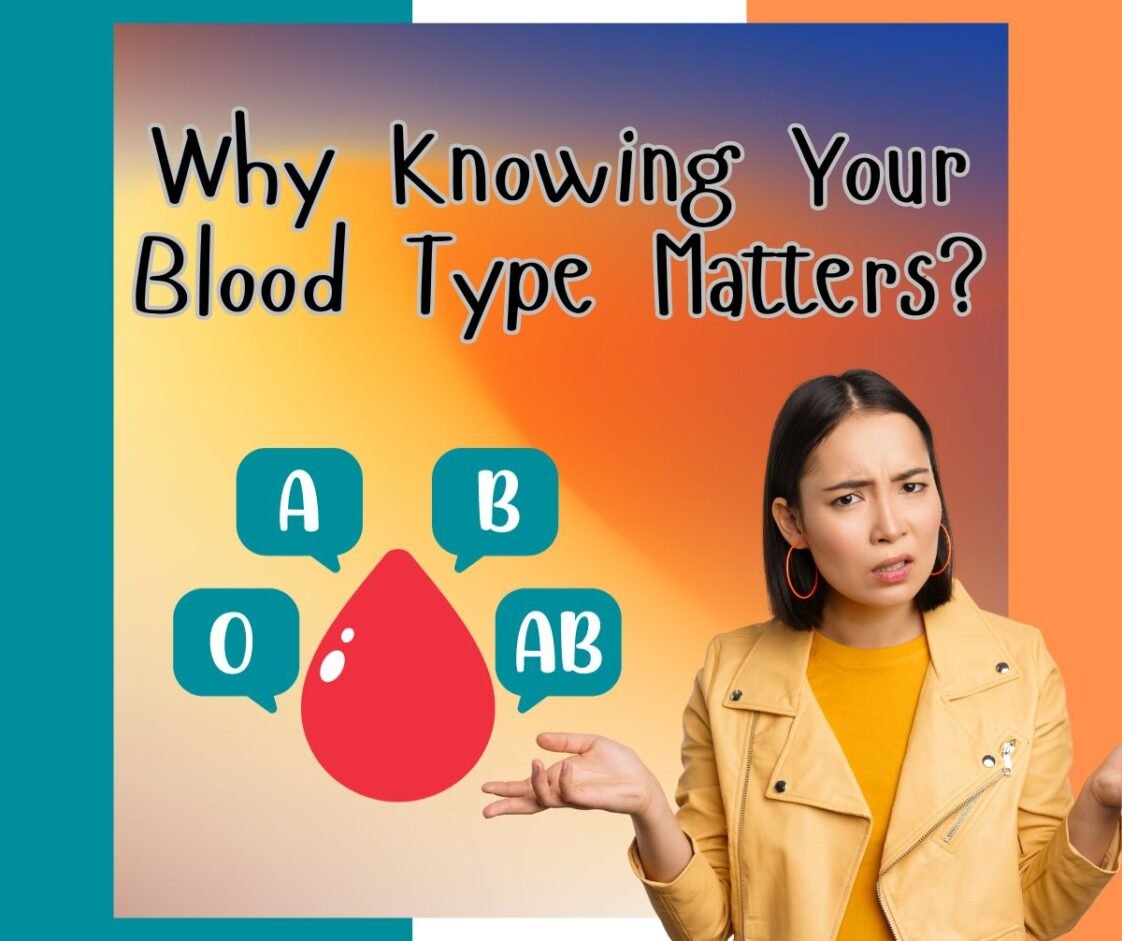 The Ultimate Guide: Unveiling the 4 Major Blood Types and Their ...