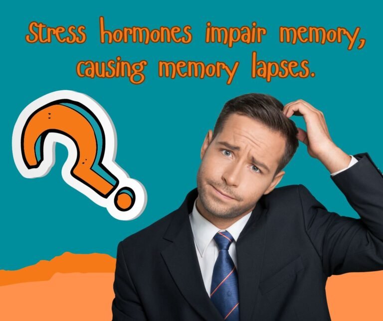 The Brain Under Pressure: 5 Surprising Ways Stress Affects Your Mind ...