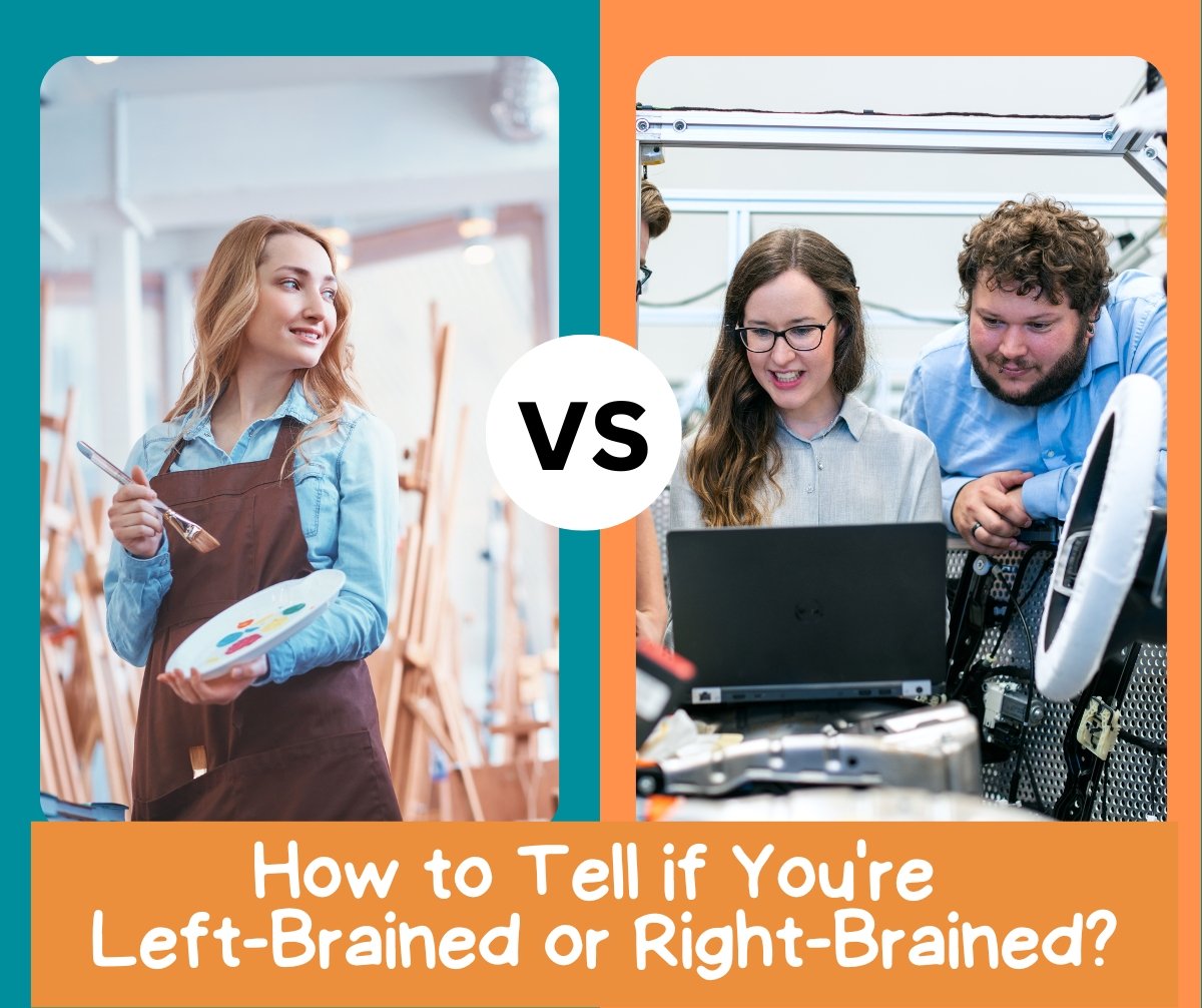The Great Left-Brained or Right-Brained Debate - Ideas24
